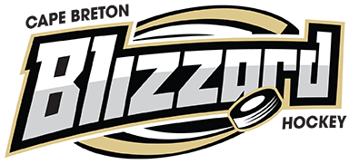CB Blizzard Gray | Metro West Force Female Hockey Club